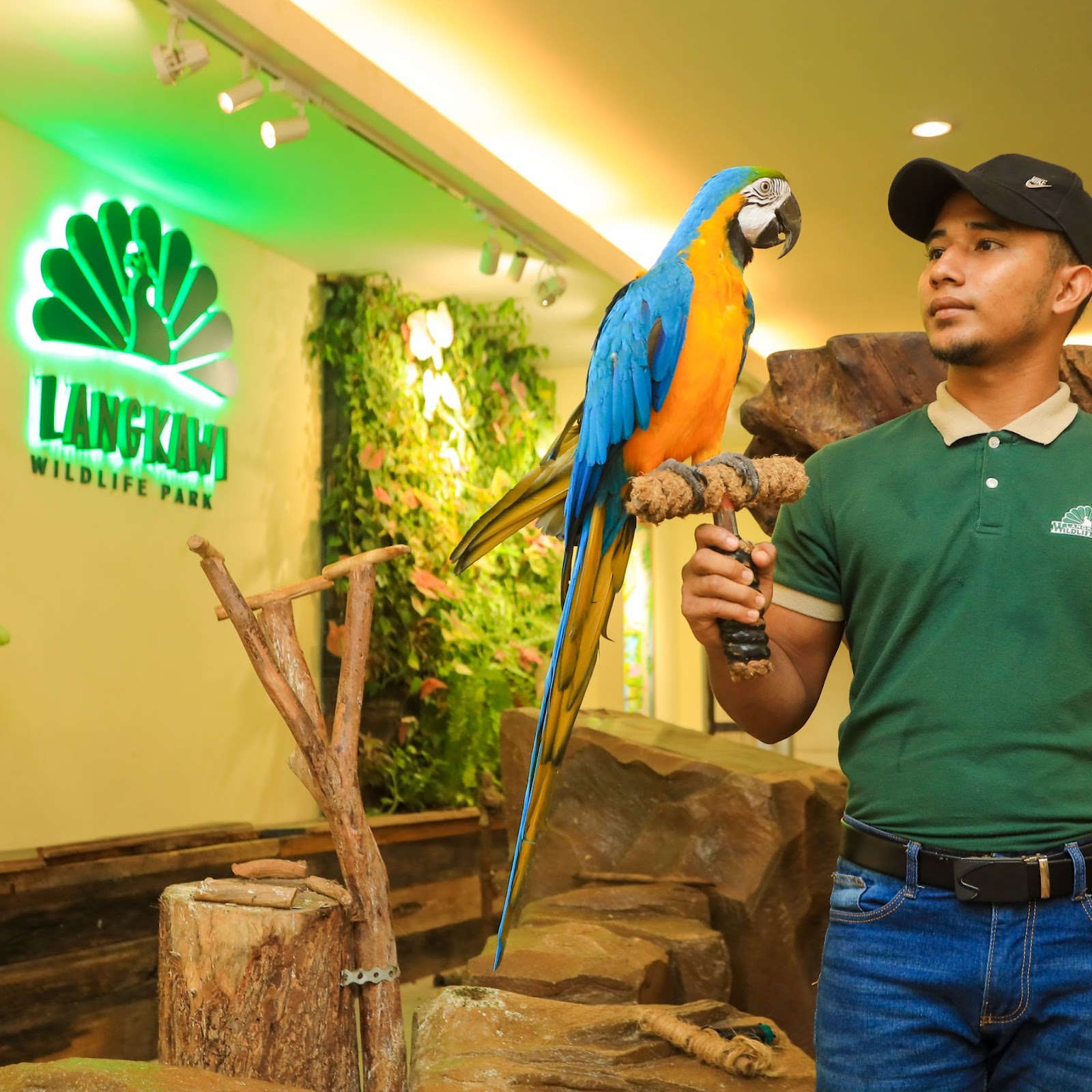 A Day At Wildlife Park Langkawi: Overview of the Park