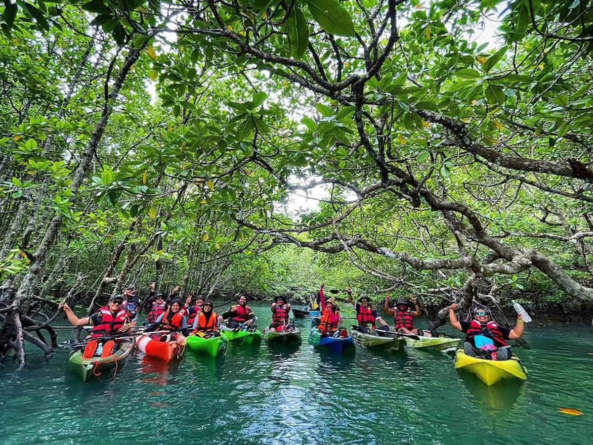 Benefits of Team Building Activities in Langkawi for Success